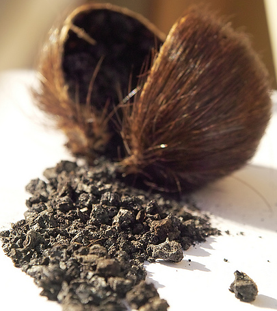 MOSCHUS - KÖNIG DER DÜFTE